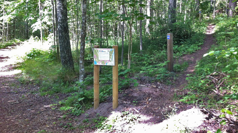 Sunnersta mountainbikeled - Uppsala kommun
